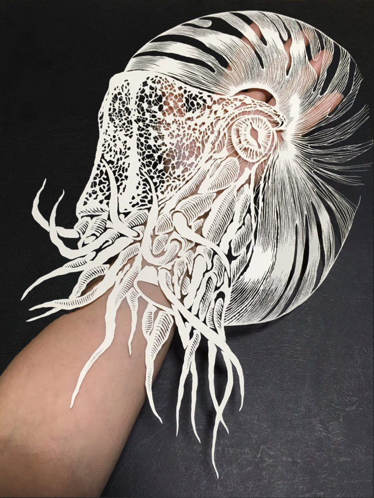 【Papercut art】Nautilus | Kiriken Masayo