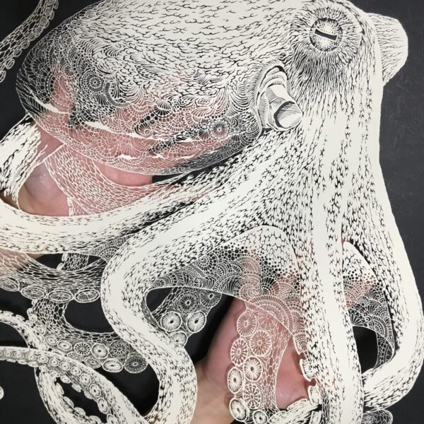 Video of Octopus | Papercut Artist Masayo Fukuda | Kiriken Masayo